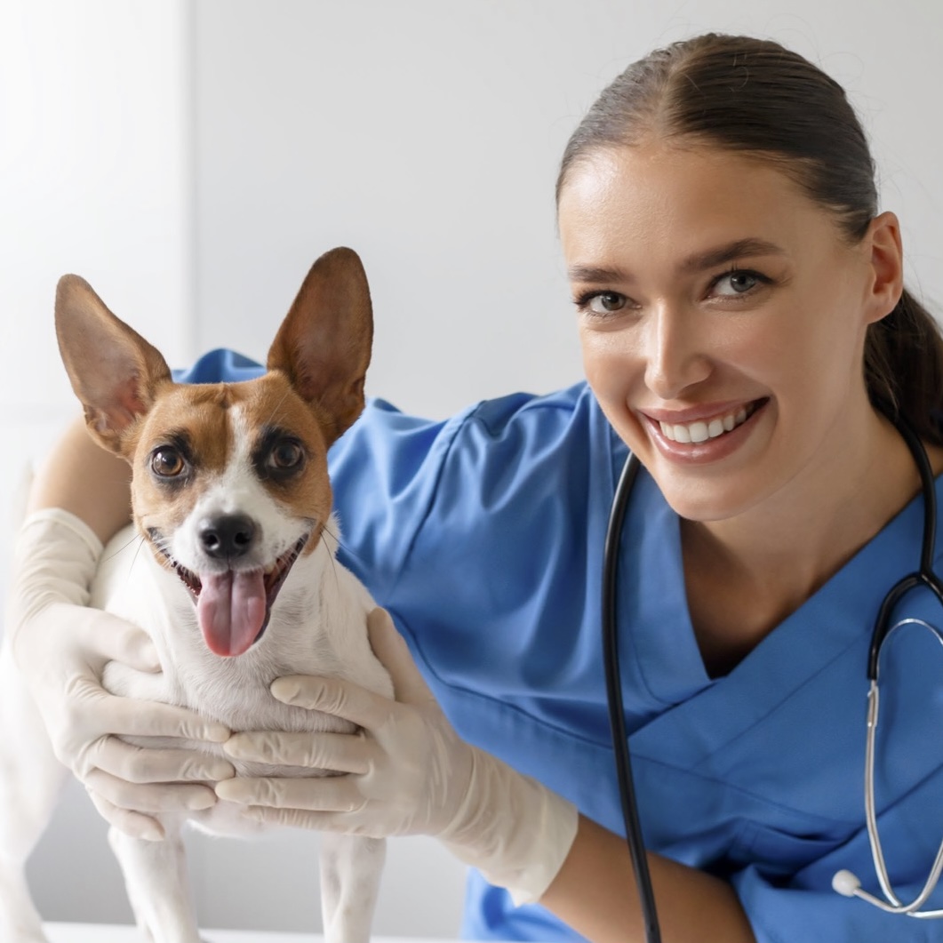 2025 Veterinary Industry Report: Key Trends for Clinics in Australia ...